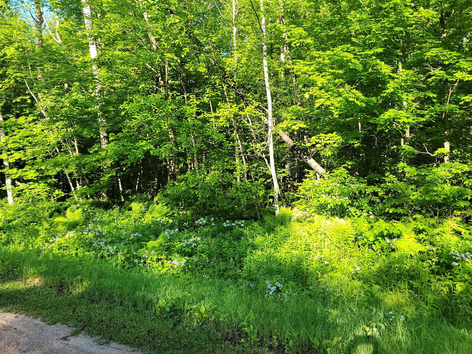 Kentwoods Ln LOT 12, Bryant, WI 54418 | Zillow