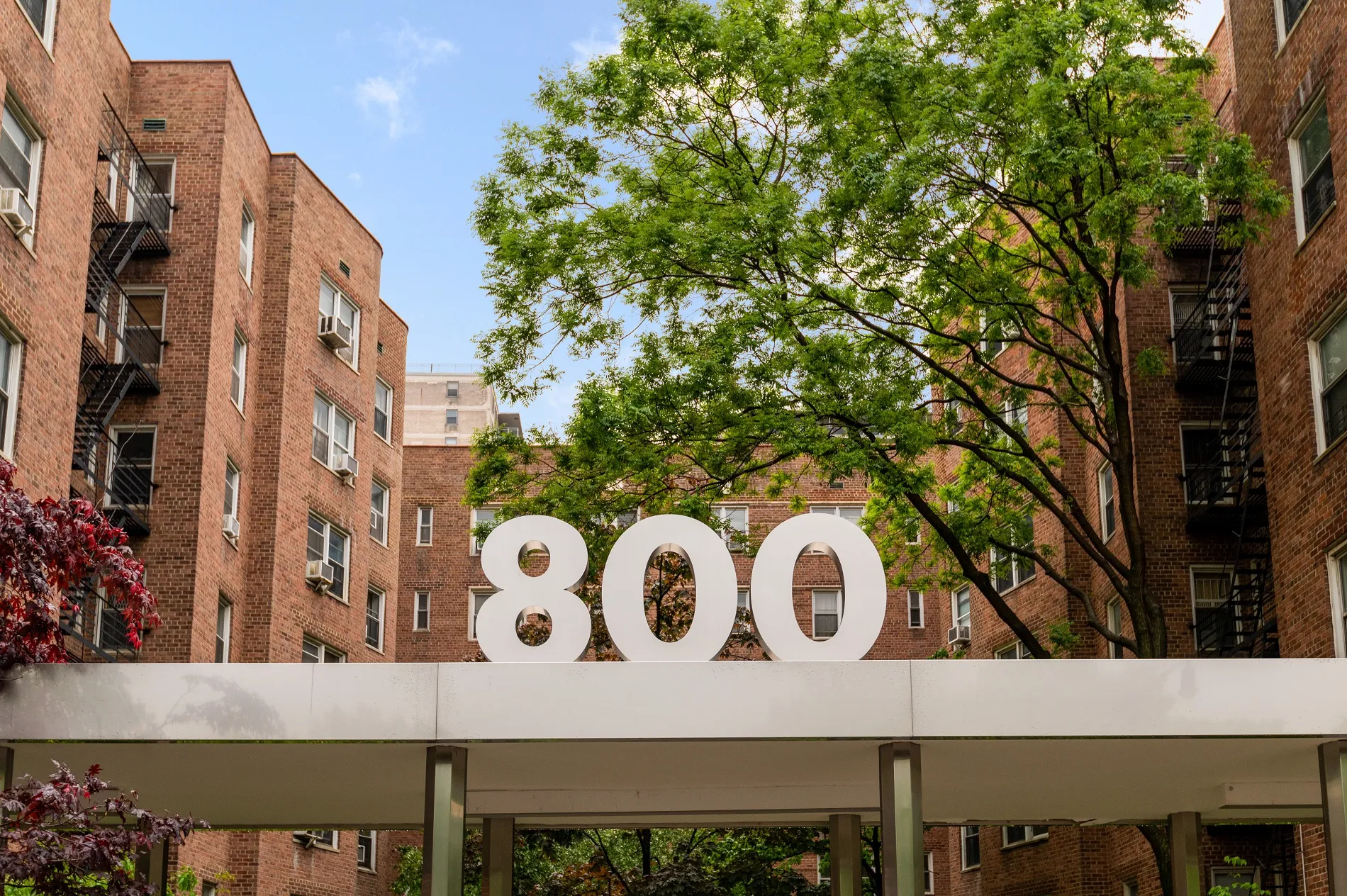 800 Grand Concourse #5FS in Concourse, Bronx | StreetEasy