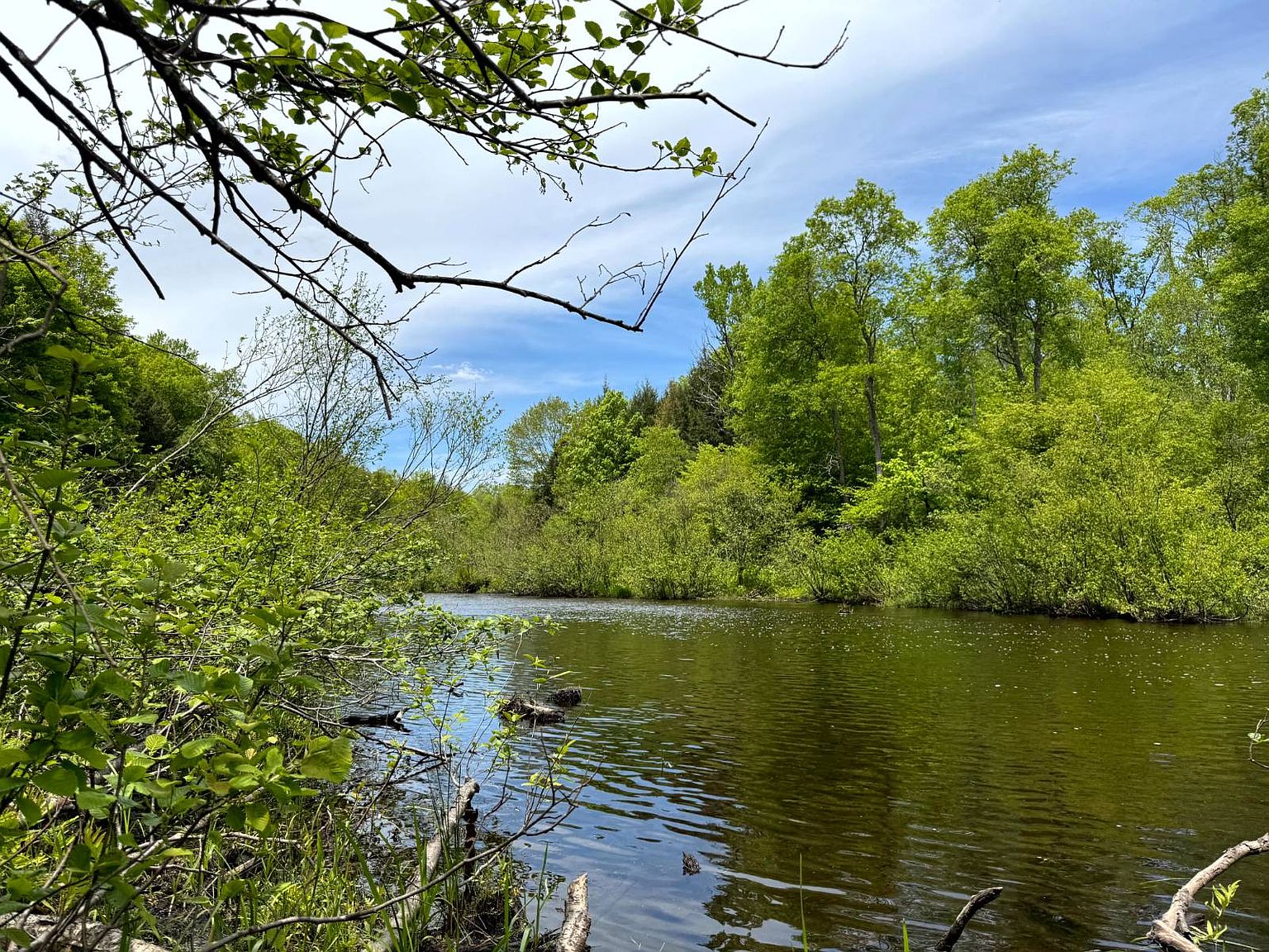 1.7 Manley Taylor Rd #7, Camden, NY 13316 | MLS #11404800 | Zillow