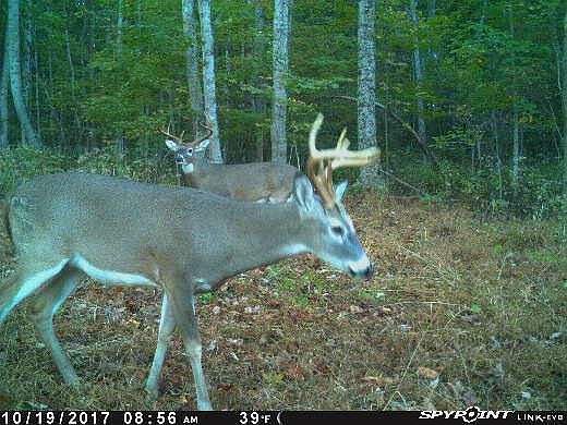 2625 Snake Hollow Rd, Sneedville, TN 37869 | MLS #9939790 | Zillow