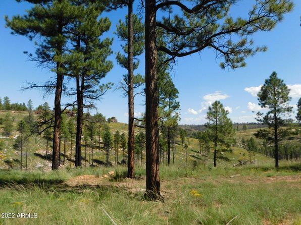 Happy Jack Real Estate - Happy Jack AZ Homes For Sale | Zillow