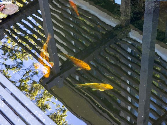 3978 Amyx Ct, Hayward, CA 94542 | MLS #41038824 | Zillow