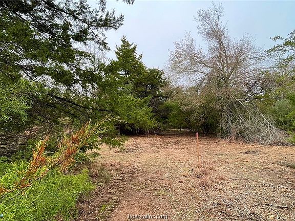 County Rd #269, Bremond, TX 76629 | MLS #24002920 | Zillow