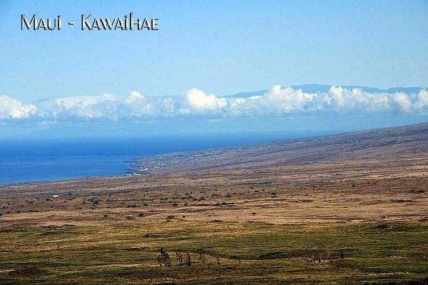 8A Bucky Hill Ln, Kamuela, HI 96743 | Zillow