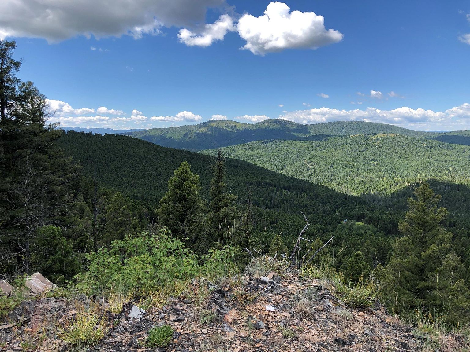 300 Foxtrot Ln, Helmville, MT 59843 | Zillow