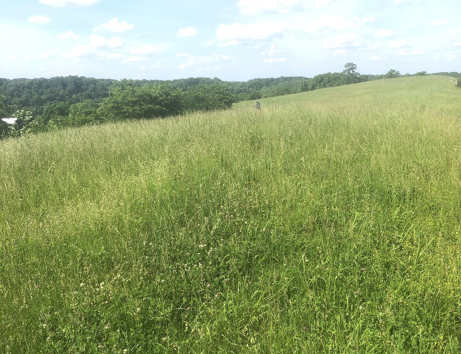 6 S Chowning Ln, Bloomfield, KY 40008 | MLS #24010194 | Zillow