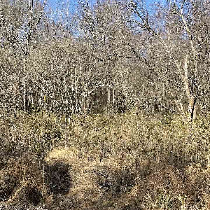 1500 W Oak St #4558, Selma, NC 27576 | Zillow