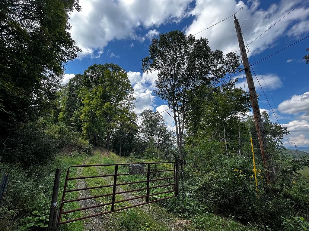 Ellison Ridge Rd, Jumping Branch, WV 25969 | Zillow
