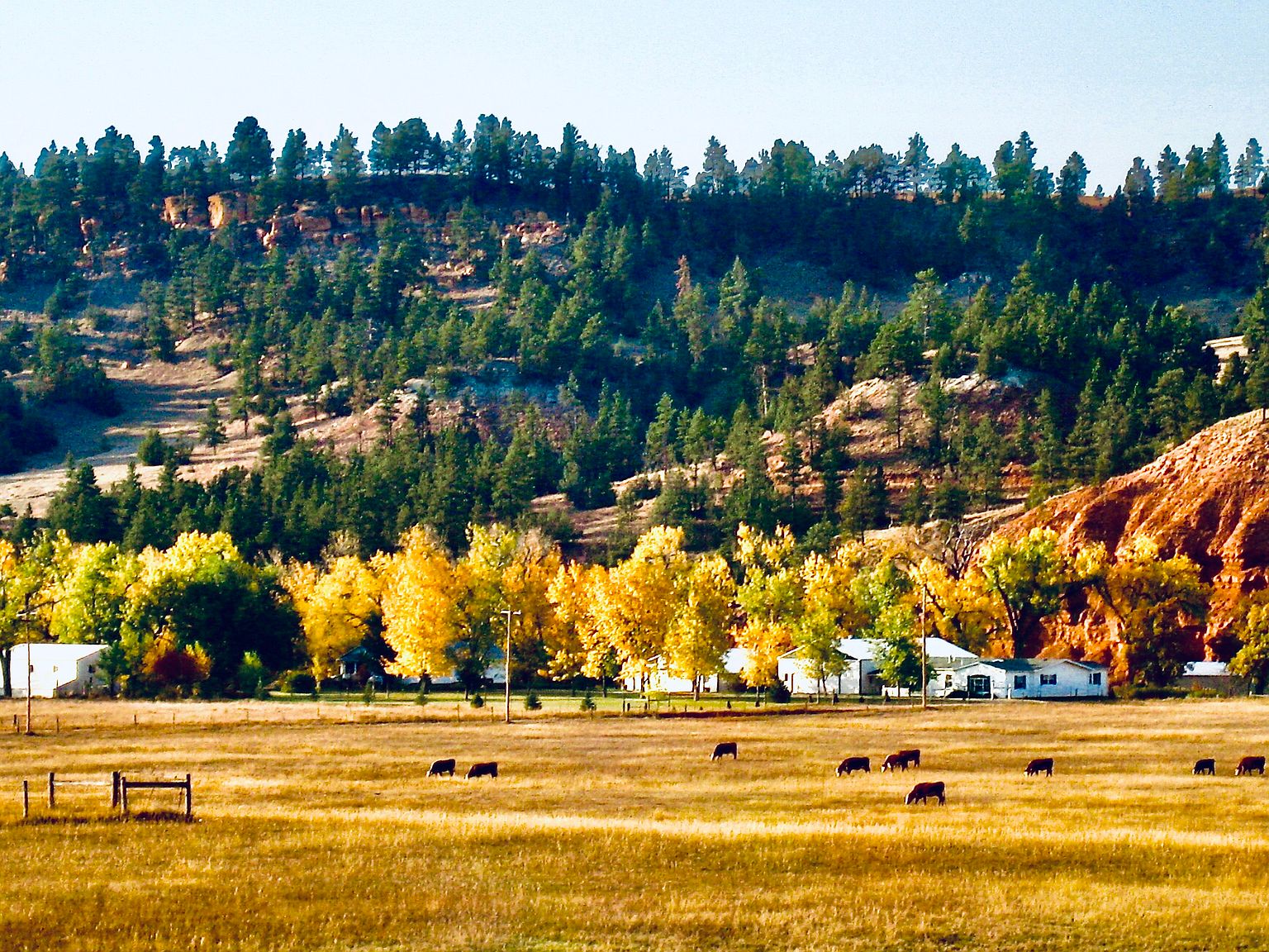 43 Forks Rd, Hulett, WY 82720 | Zillow