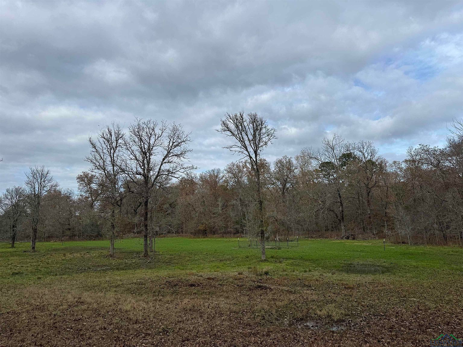 Private Road 1331, Elysian Fields, TX 75642 | MLS #20250995 | Zillow