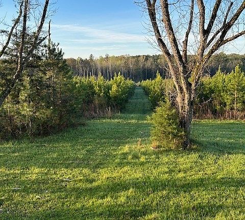 0 County Road 45, Banks, AL 36005 | MLS #25665 | Zillow