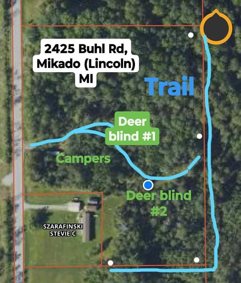 2425 S Buhl Rd, Mikado, MI 48745 | Zillow