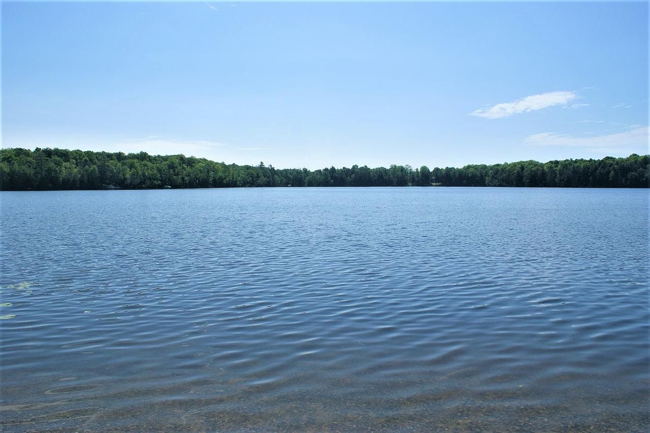 0 Forest Ln LOT 65, Long Lake, WI 54542 | Zillow