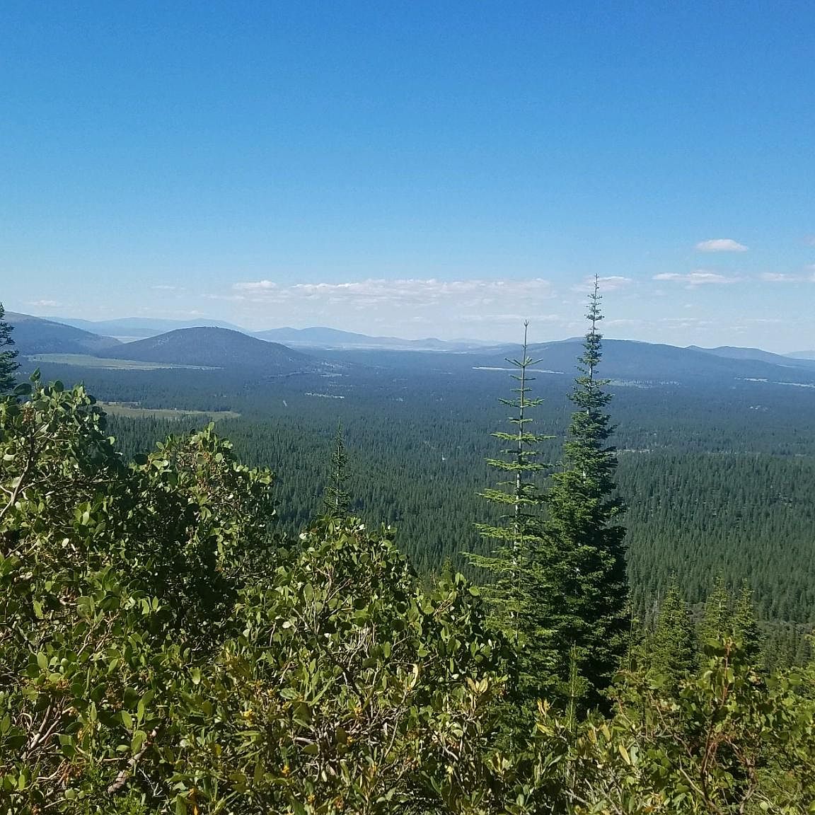 Off Grid, Tennant, CA 96012 | Zillow