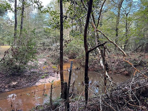 R04376 County Road 4392, Spurger, TX 77660 | MLS #5102718 | Zillow