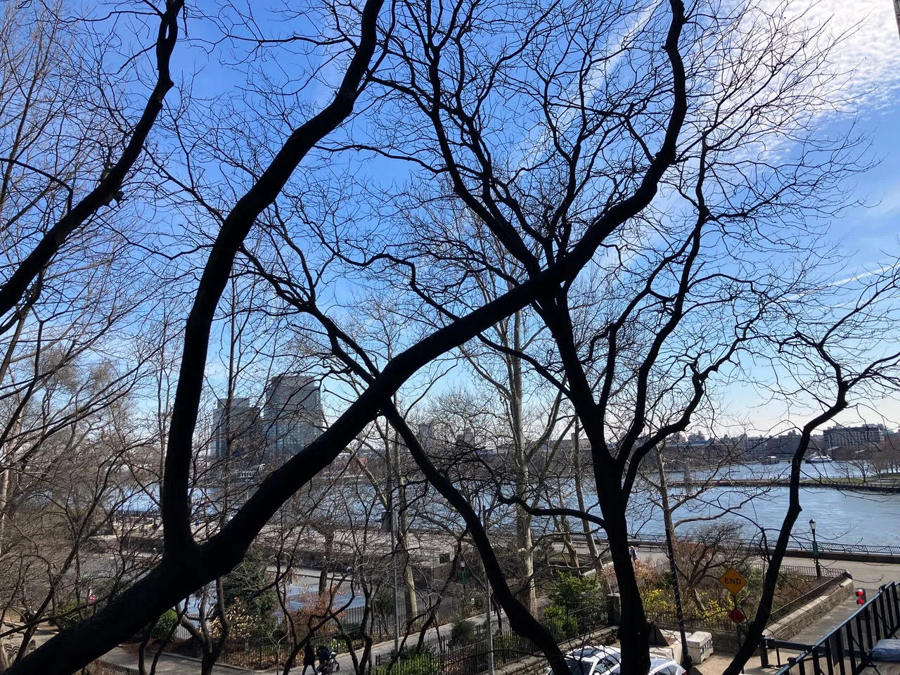 7 Gracie Square #3A in Yorkville, Manhattan | StreetEasy