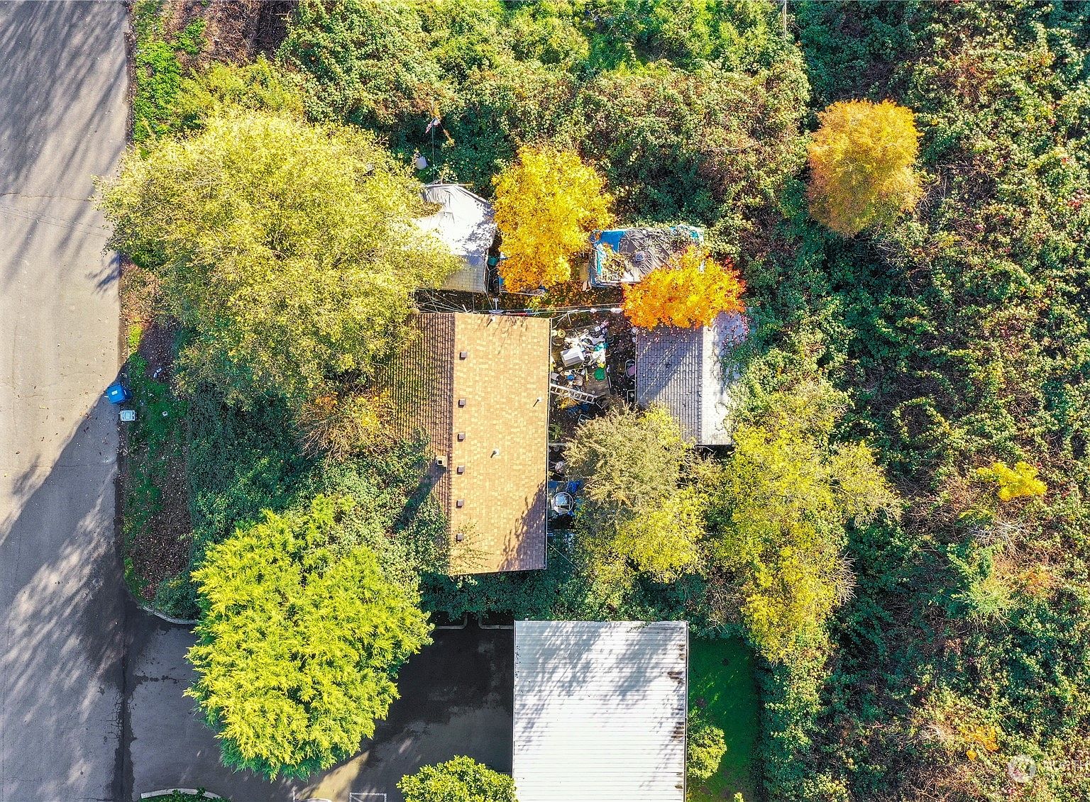 115 Naden Avenue S, Kent, WA 98032 | MLS #2179705 | Zillow