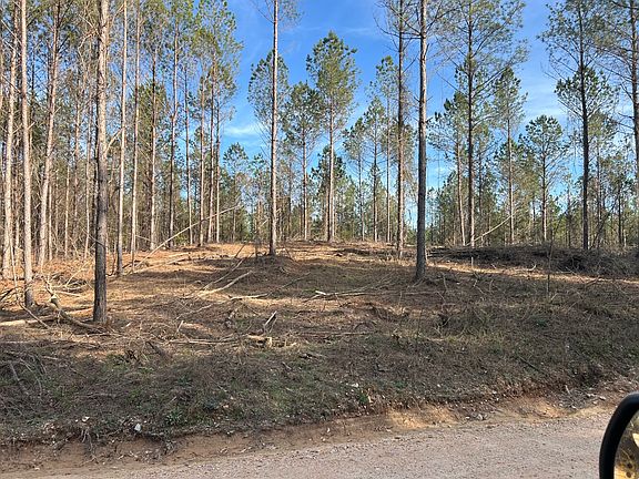 0 County Road 253, Clanton, AL 35046 | Zillow