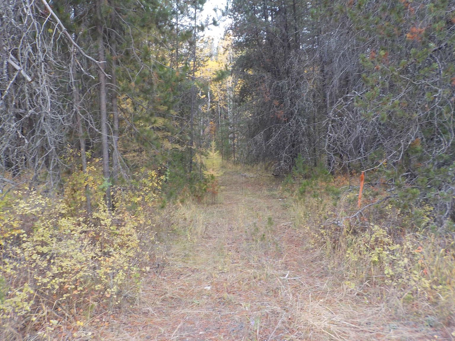 Ford Wellpenit Rd, Wellpinit, WA 99040 | Zillow