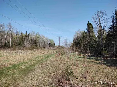 80 Acres Off Rd Arnold MI | Zillow