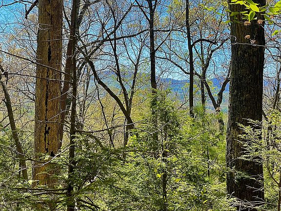 Hyder Mountain Rd, Clyde, NC 28721 | Zillow