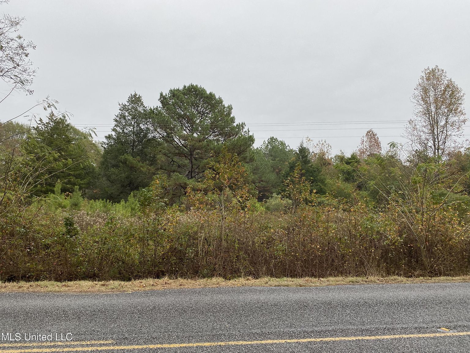Utah Rd, Lena, MS 39094 | Zillow