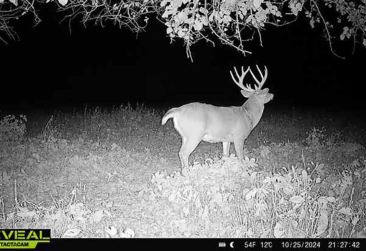 Dilthey Rd LOT WP002, Pilot Grove, MO 65276 | Zillow