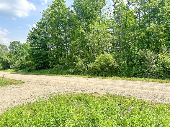 Hopkins Rd LOT 1, Freedom, NY 14065 | MLS #11291981 | Zillow