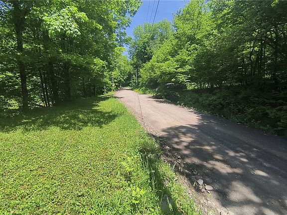 216 Claude Neer Road, Fremont Center, NY 12736 | MLS #H6305734 | Zillow