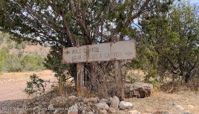 Section 25 Agua Chiquita Canyon Rd, Mayhill, NM 88339 | Zillow