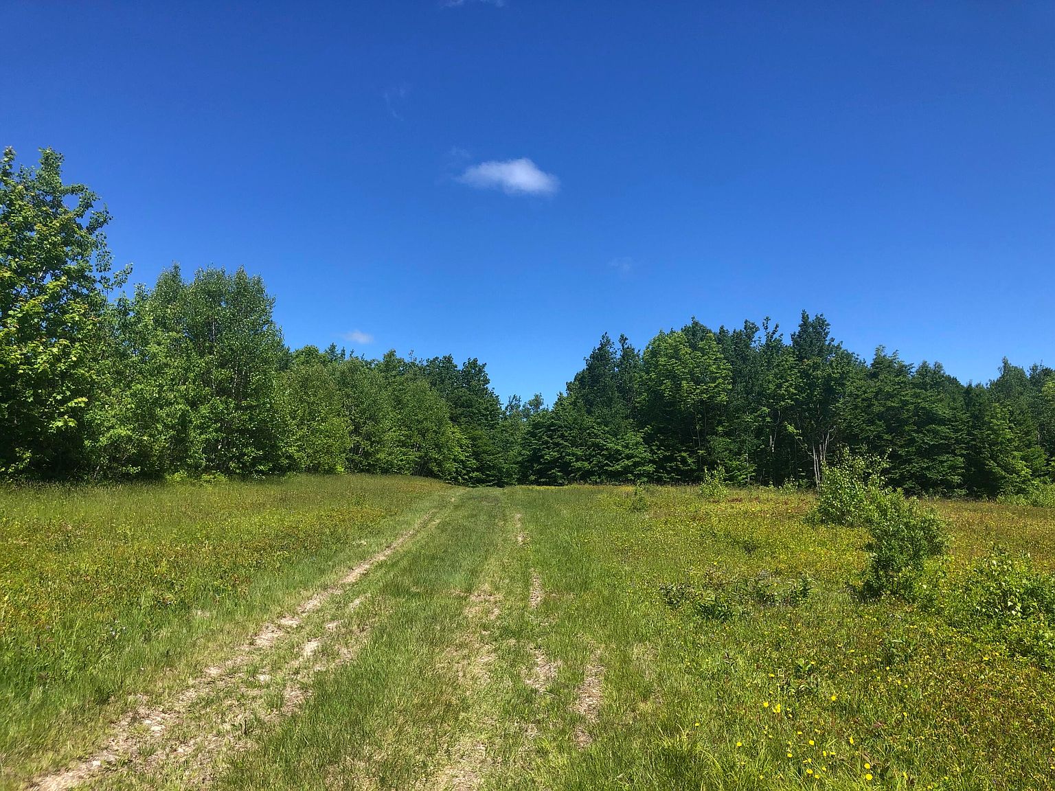 329 Arm Road, Baileyville, ME 04694 | MLS #1616073 | Zillow