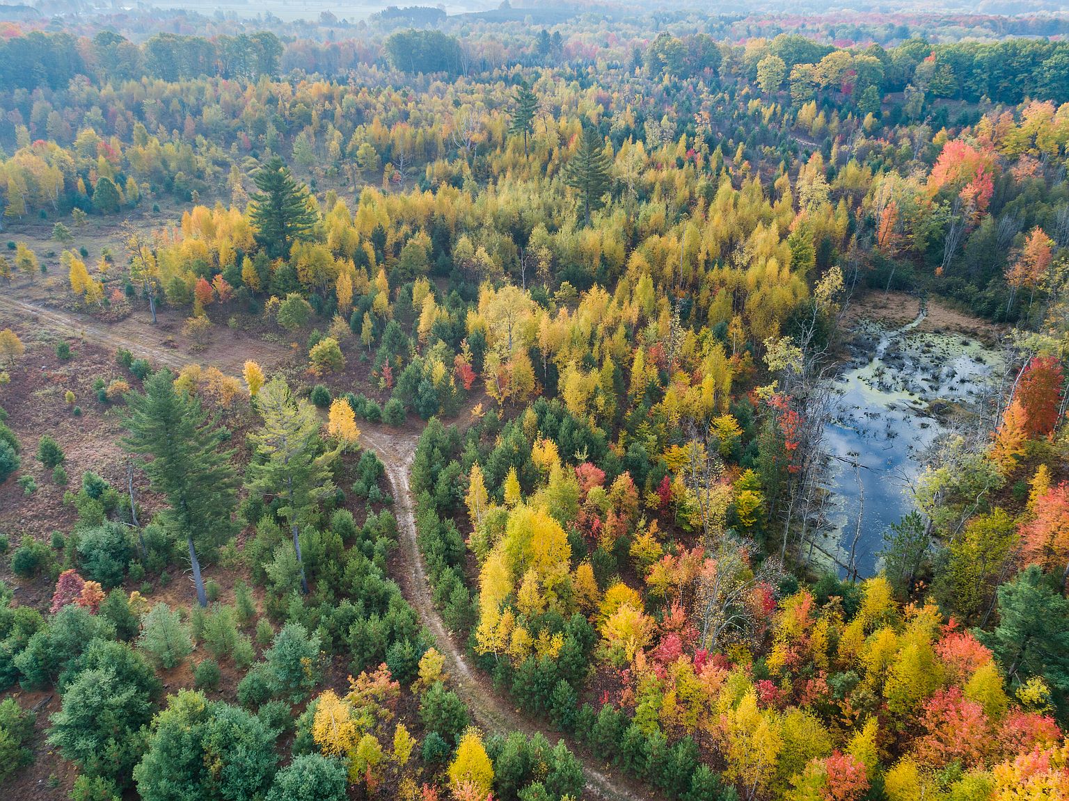 130th Ave, Leroy, MI 49655 | MLS #23139020 | Zillow