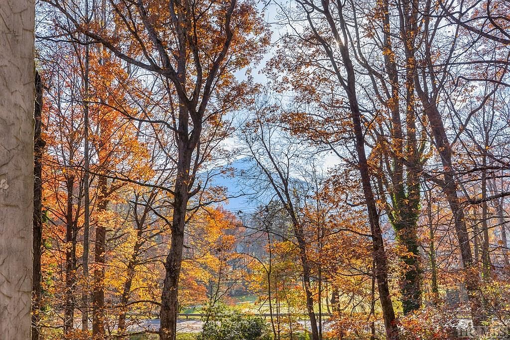 96-2C Dogwood Knob Lane #2C, Sapphire, NC 28774 | Zillow