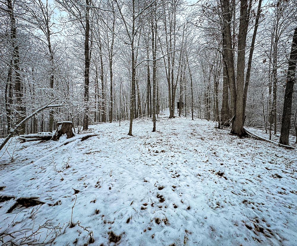 185 Sleeths Run Rd, Linn, WV 26384 | MLS #95256 | Zillow