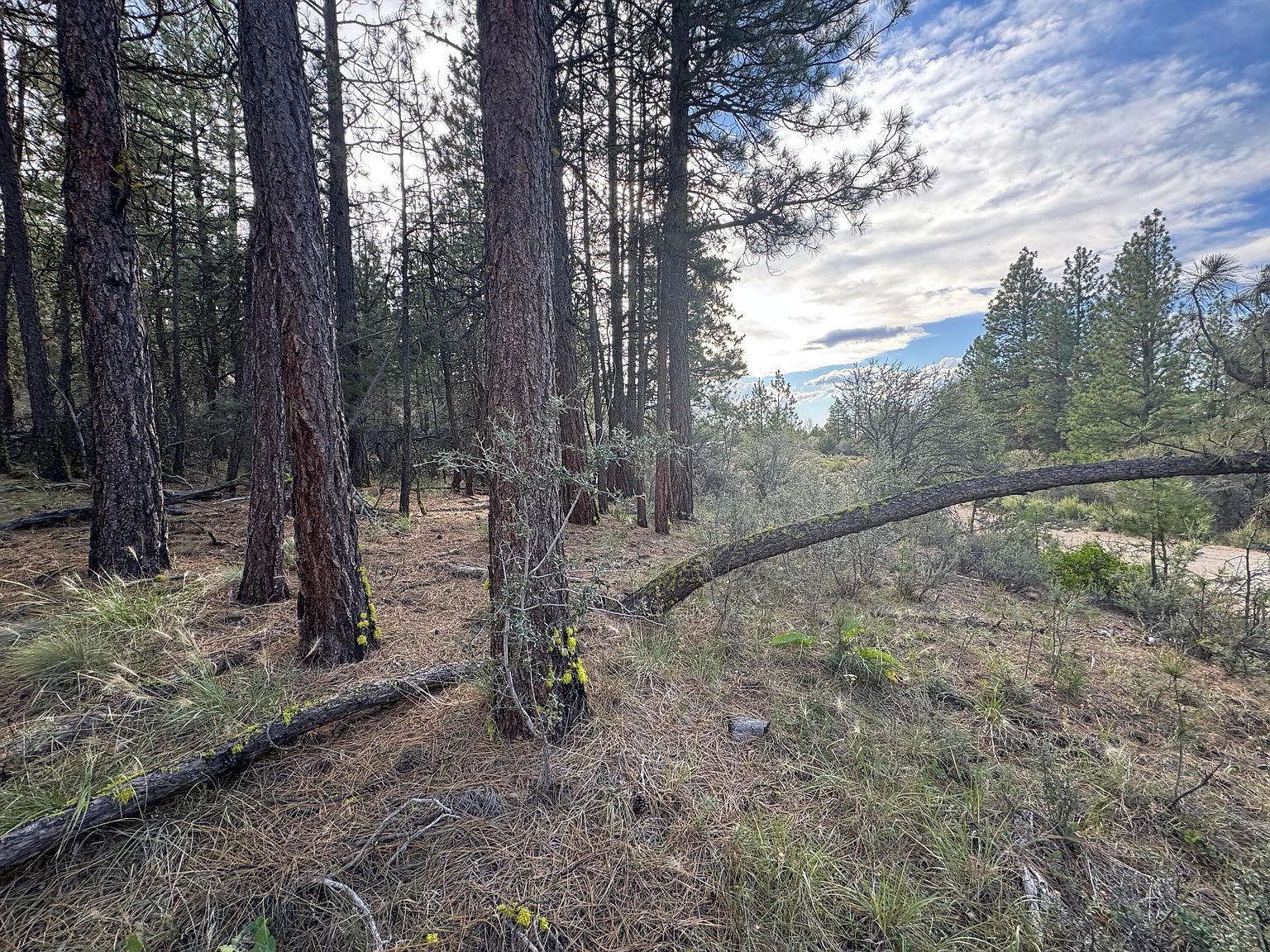 0 Partin Dr #6, Beatty, OR 97621 | MLS #220206688 | Zillow