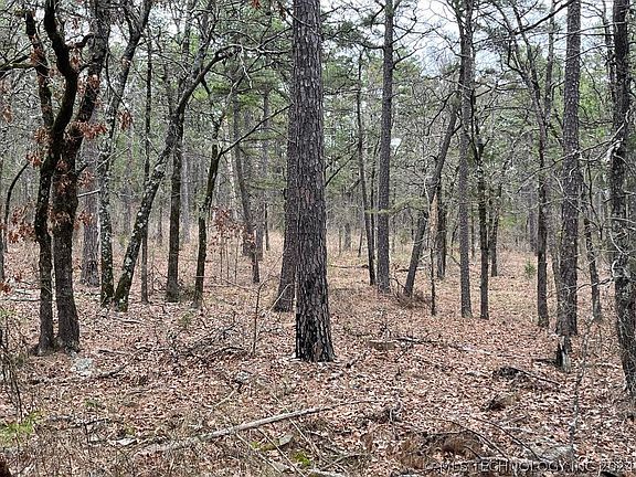 Rural Route Rd, Panola, OK 74559 | MLS #2411004 | Zillow