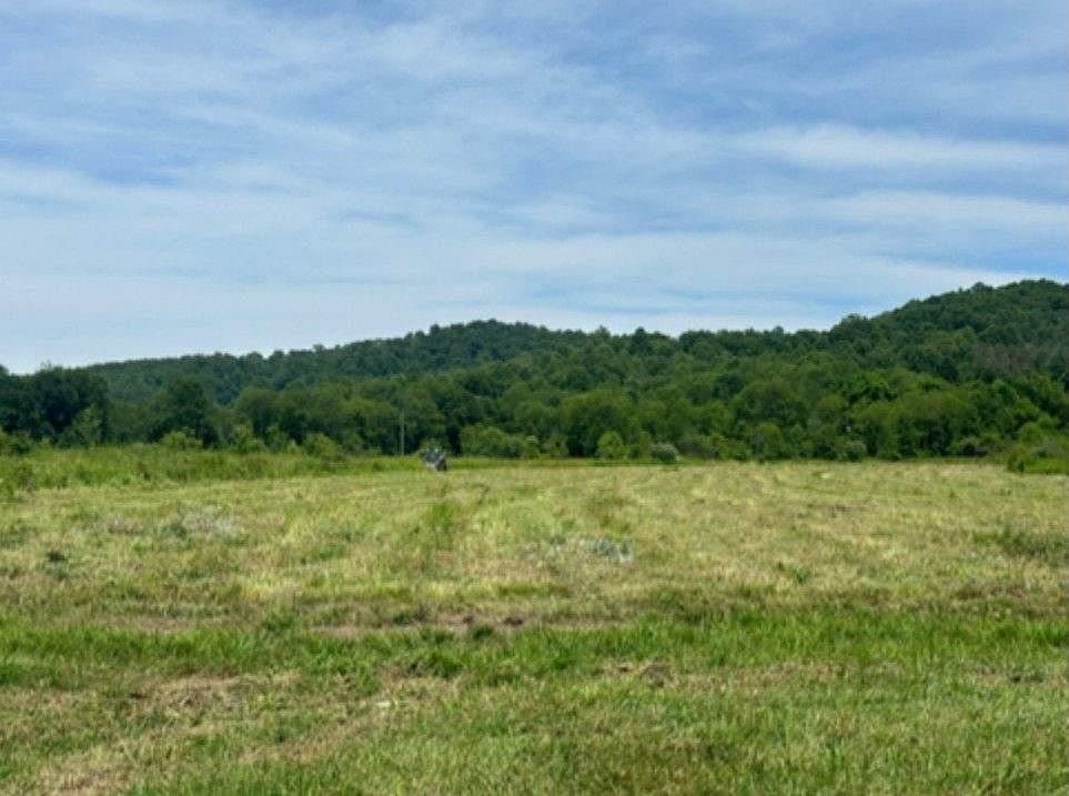 133 Granny Mae Rd, Lester, WV 25865 | Zillow