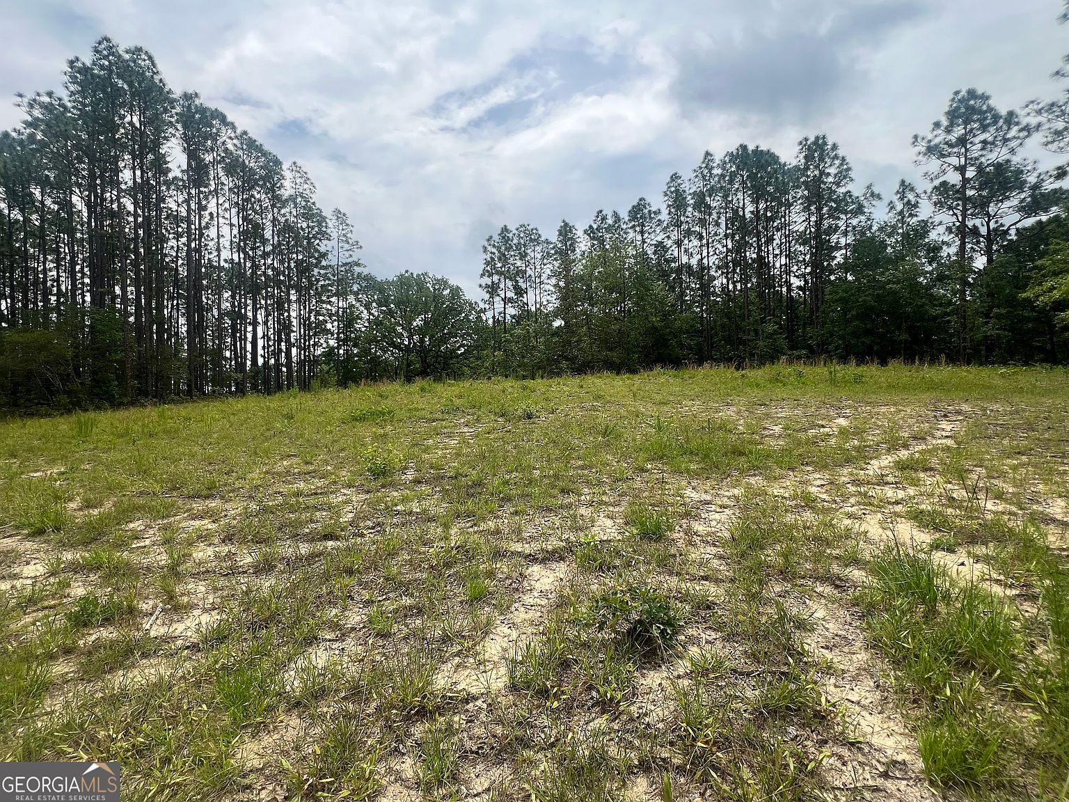 3965 Willow Hill Rd, Portal, GA 30450 | Zillow