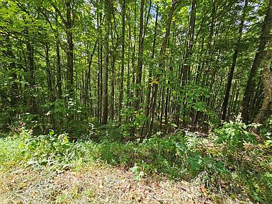 Cartwright Rd, Rowe, VA 24646 | Zillow