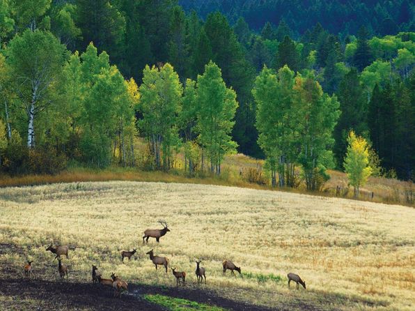 Freedom WY Real Estate - Freedom WY Homes For Sale | Zillow