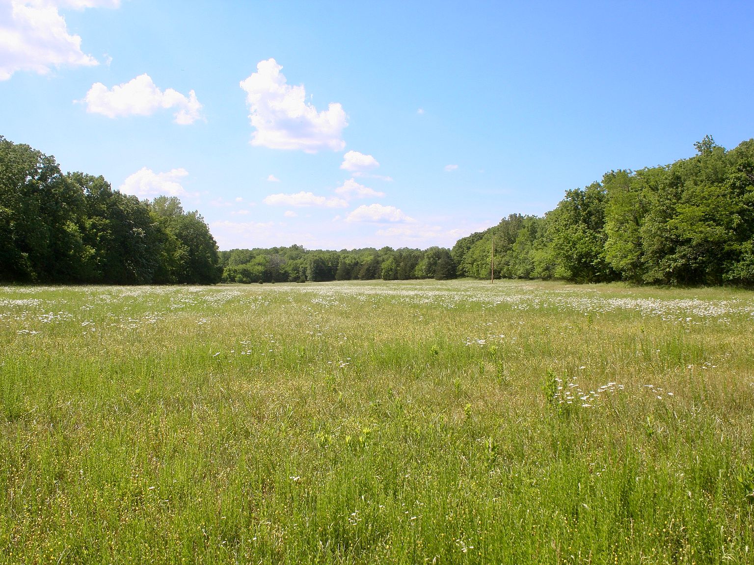 12495 E 1200th Rd, Stockton, MO 65785 | Zillow