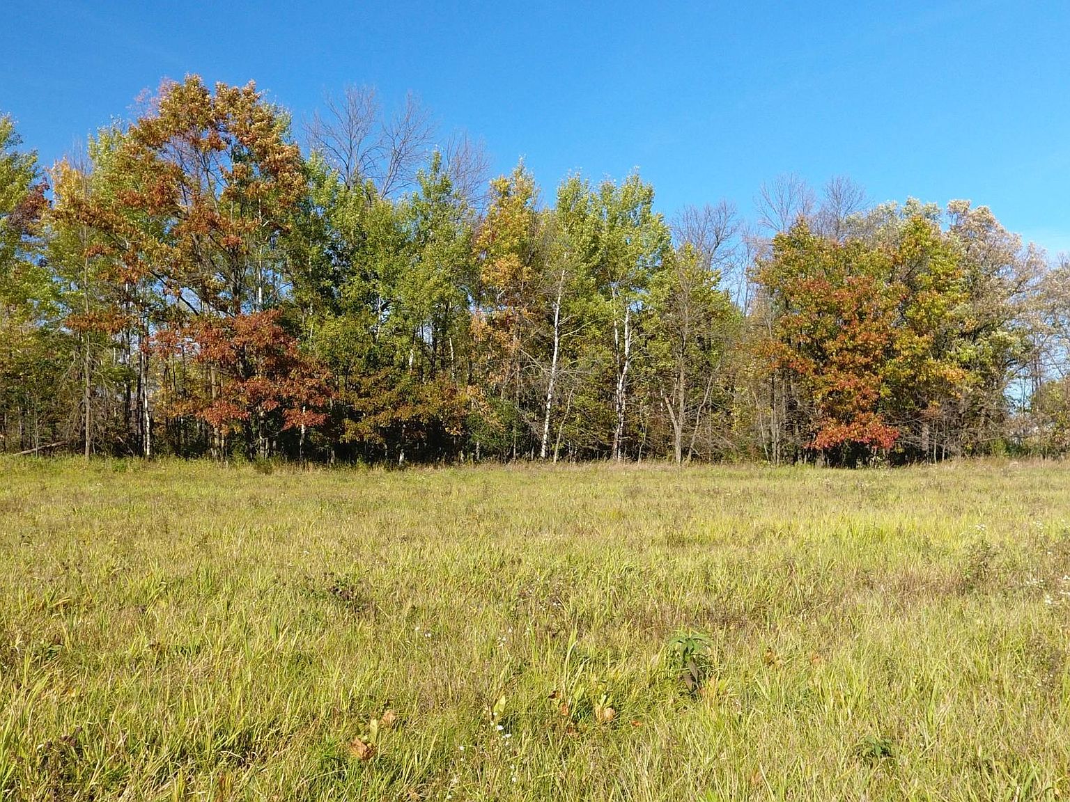 17 Ivy Rd, Bock, MN 56313 | Zillow