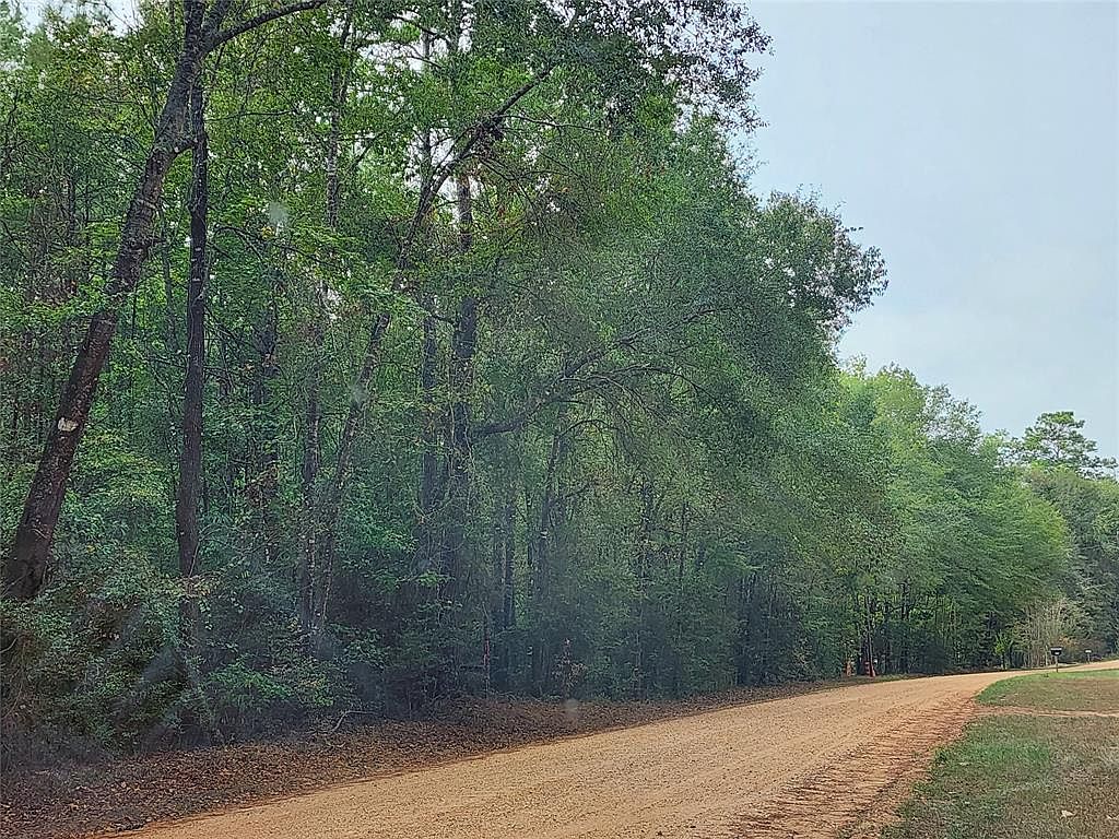 0 River St LOT 1-66, Coldspring, TX 77331 | MLS #16257458 | Zillow