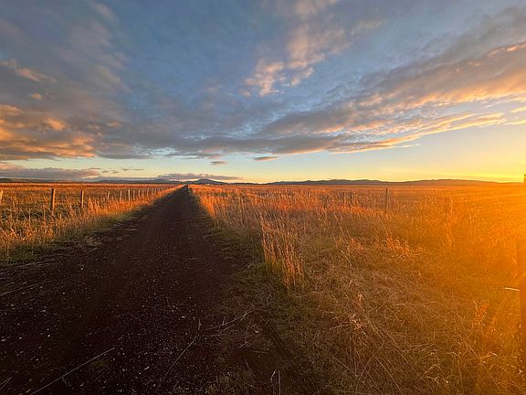 1029 Grays Lake Rd, Wayan, ID 83285 | MLS #574566 | Zillow