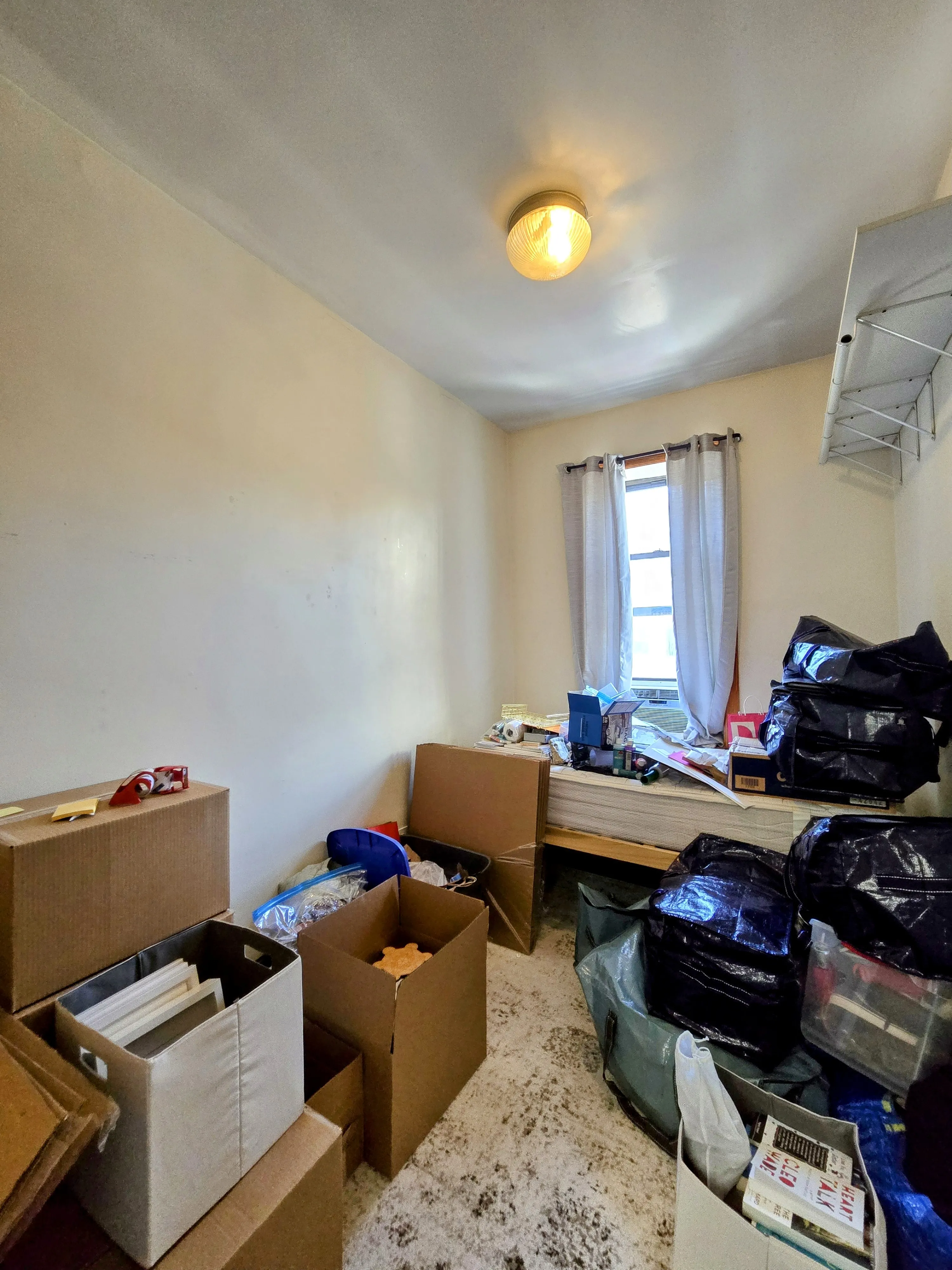 253 Rogers Avenue #3 in Crown Heights, Brooklyn | StreetEasy