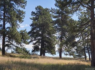10689 Shadow Pines Road, Parker, CO 80138 | MLS #3670062 | Zillow