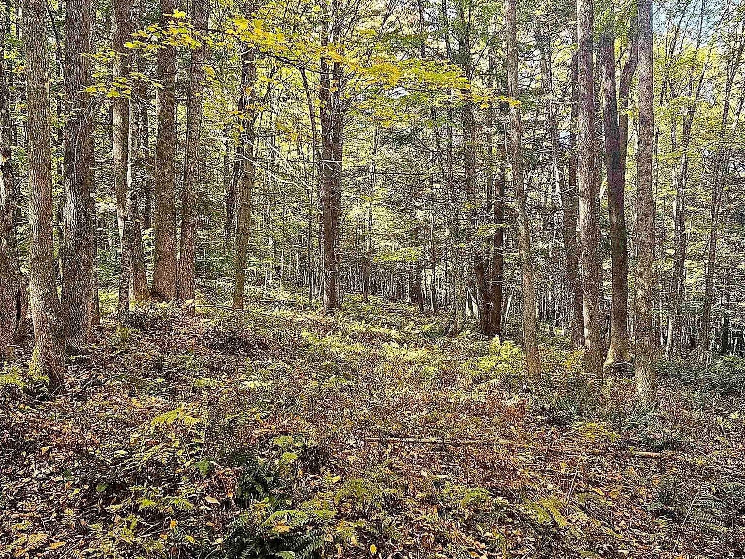 00 Tarbell Hill Road, Perkinsville, VT 05151 | MLS #5033114 | Zillow