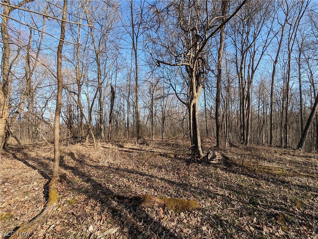 1100 Sand Ridge Rd, Arnoldsburg, WV 25234 | Zillow