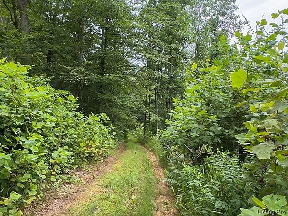 Lot 5 W West End Drive, Pekin, IN 47165 | MLS #2023010421 | Zillow