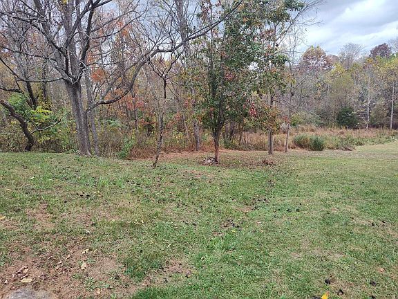 807 Sherbrooke Ct, Mount Carmel, TN 37645 | Zillow